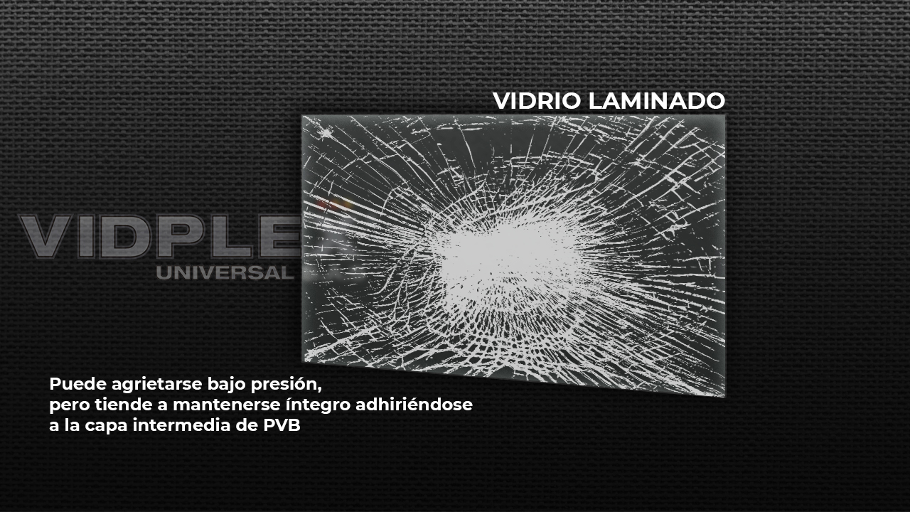 Seguridad – Vidplex Universal S.A.S