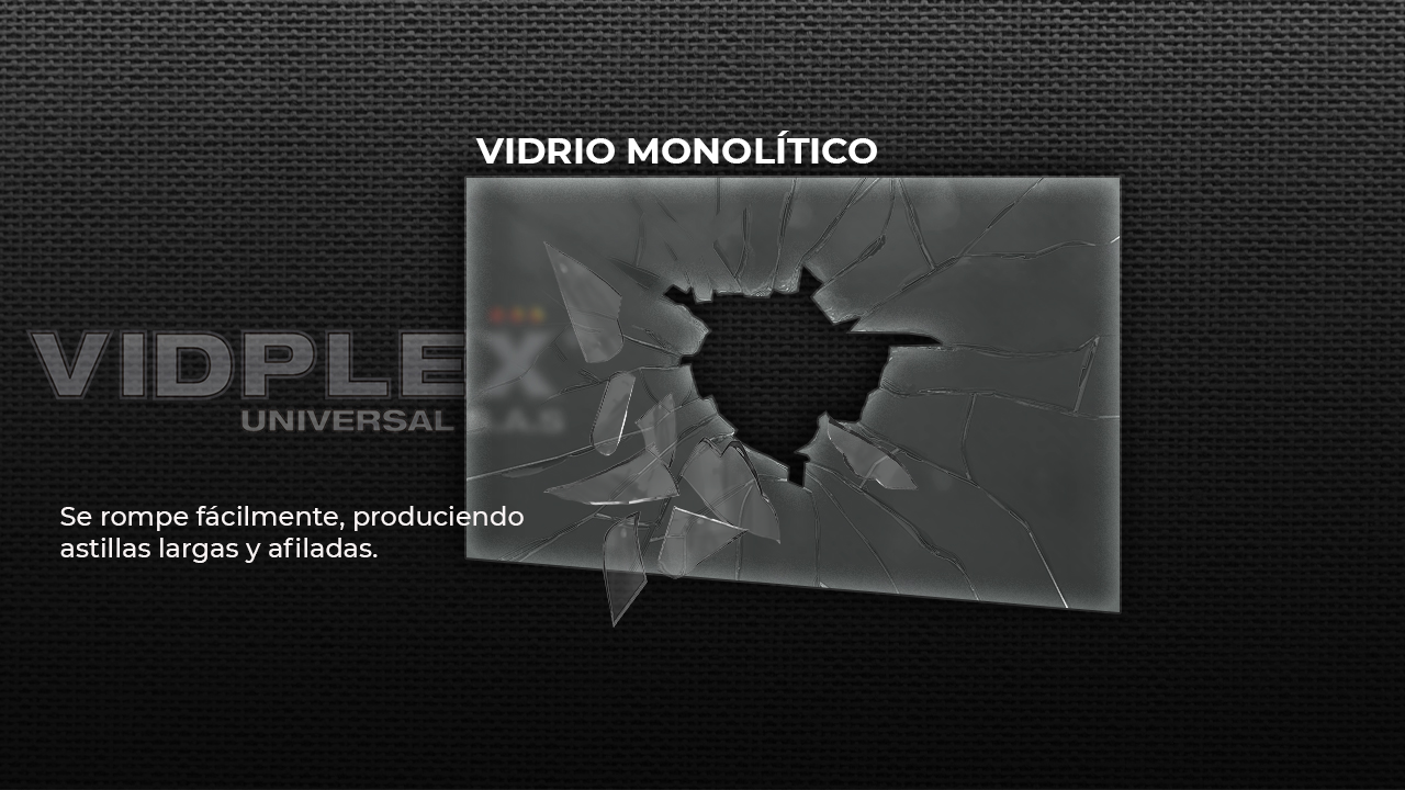 Seguridad – Vidplex Universal S.A.S